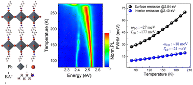 Exciton–phonon coupling in two-dimensional layered (BA)2PbI4 perovskite ...