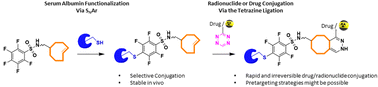 Radiolabeled albumin through SNAr of cysteines as a potential ...