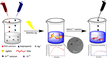 Synthesis of silver nanoclusters by irradiation reduction and detection ...
