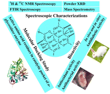 Biologically potent organotin(iv) complexes of N-acetylated β-amino ...