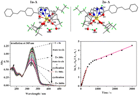 Reversible trans-to-cis photoisomerization and irreversible ...