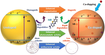 Experimental and ab initio studies on the structural, magnetic ...