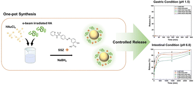 Hyaluronic acid-coated gold nanoparticles as a controlled drug delivery system for poorly water ...
