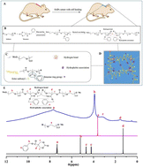 Biodegradable smart materials with self-healing and shape memory ...