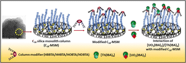 Fast and selective reversed-phase high performance liquid ...
