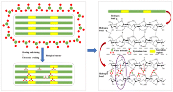 Study on the effects of different pectinase/cellulase ratios and ...