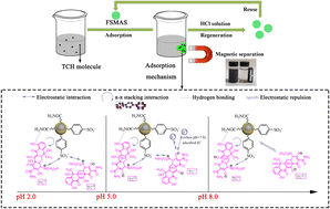 Optimal preparation of a core–shell structural magnetic nanoadsorbent ...