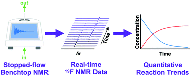 Quantitative and convenient real-time reaction monitoring using stopped ...