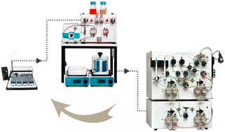 Enhanced flow synthesis of small molecules by in-line integration of ...