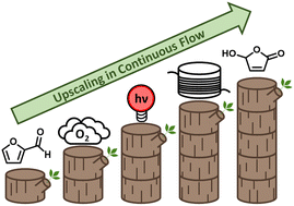 Development of a modular photoreactor for the upscaling of continuous ...