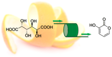 Development of a flow process for an easy and fast access to 2-pyrone ...