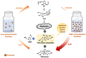 Probing the effects of fructose concentration on the evolution of ...
