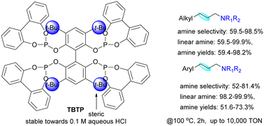 Selective and stable tetraphosphite for Rh-catalyzed linear ...