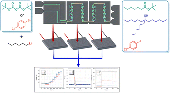 Thermal characterization of highly exothermic flash chemistry in a ...