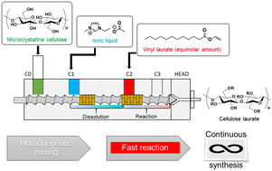 Continuous process of cellulose dissolution and transesterification ...