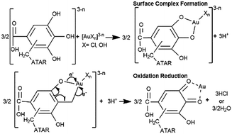 Synthesis of an ethylene diamine modified tannin polymer and recovery ...