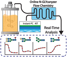 Automated instant labeling chemistry workflow for real-time monitoring ...