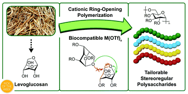 Stereoregular functionalized polysaccharides via cationic ring-opening ...