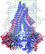 Extended-ensemble docking to probe dynamic variation of ligand binding ...