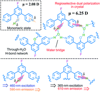 Water molecular bridge-induced selective dual polarization in crystals ...
