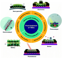 Atomic and structural modifications of two-dimensional transition metal dichalcogenides for ...