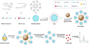 Ultrasensitive detection of β-lactamase-associated drug-resistant ...