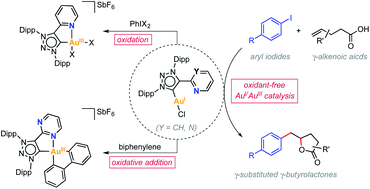 Hemilabile MIC^N ligands allow oxidant-free Au(i)/Au(iii) arylation ...