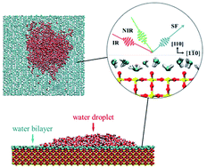 Room temperature bilayer water structures on a rutile TiO2(110) surface ...