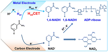 Nadh Mechanism