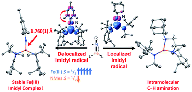 Stabilization of a high-spin three-coordinate Fe(iii) imidyl complex by ...