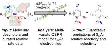 A broadly applicable quantitative relative reactivity model for ...