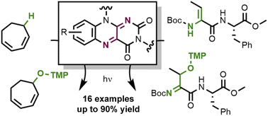 Molecular flavin catalysts for C–H functionalisation and derivatisation ...