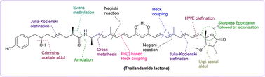 Total synthesis of the antibacterial polyketide natural product ...