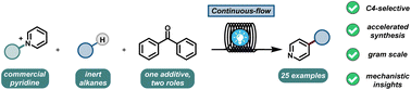 Dual role of benzophenone enables a fast and scalable C-4 selective ...