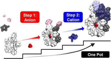 Orthogonal, modular anion–cation and cation–anion self-assembly using ...