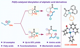 Pd(ii)-catalyzed β- and γ-C-(sp3)–H dienylation with allenyl acetates ...