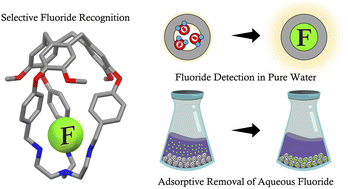 Turn-on fluorescent capsule for selective fluoride detection and water ...