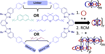 The effect of thread-like monomer structure on the synthesis of poly[n ...