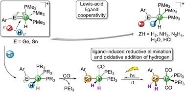 Heavy metalla vinyl-cations show metal–Lewis acid cooperativity in ...