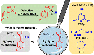 Experimental and computational insights into the mechanism of FLP ...
