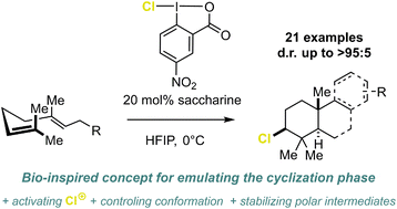 Biomimetic chlorine-induced polyene cyclizations harnessing hypervalent ...