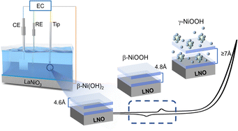 Direct observation of the dynamic reconstructed active phase of ...
