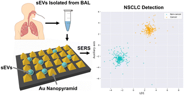 Analyzing bronchoalveolar fluid derived small extracellular vesicles ...