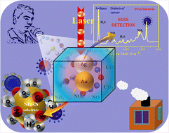 Nanomaterial-based surface-enhanced Raman scattering spectroscopy for ...