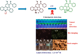 Design and development of a fluorometric and colorimetric sensor for ...