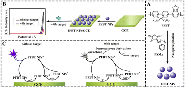 Coreactant-free polyfluorene nanoparticles for the ...