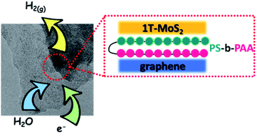 A solution-processed MoS2/graphene heterostructure mediated by a ...