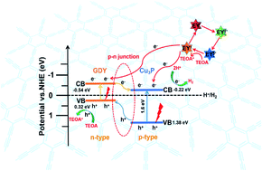 A mechanochemically prepared graphdiyne (CnH2n−2) based Cu3P@GDY p–n ...