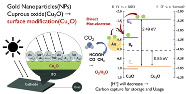 A carbon capture and storage technique using gold nanoparticles coupled ...