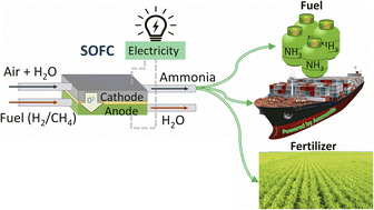 Solid oxide fuel cells for ammonia synthesis and energy conversion ...